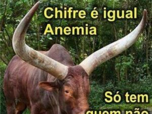 Grupo de Cornos Telegram – Grupos de WhatsApp